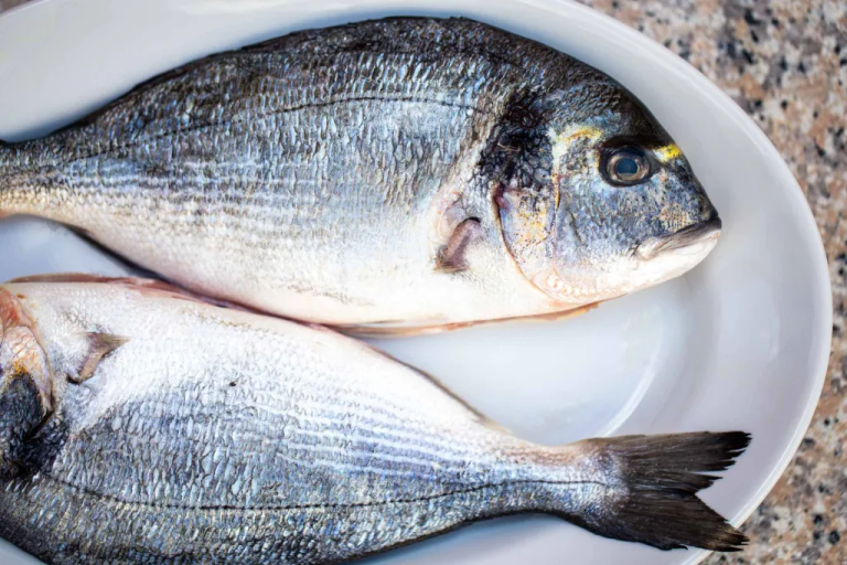 Sea Bream Fish - A Nutritious Delicacy from the Deep