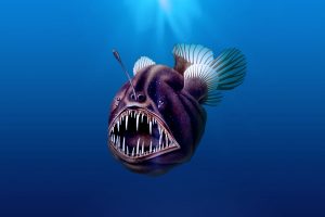 Angler Fish - Complete Guide to Habitat, Features, Behavior, and Survival